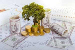 The Crucial Role Of Savings Accounts In Financial Literacy - Business ...